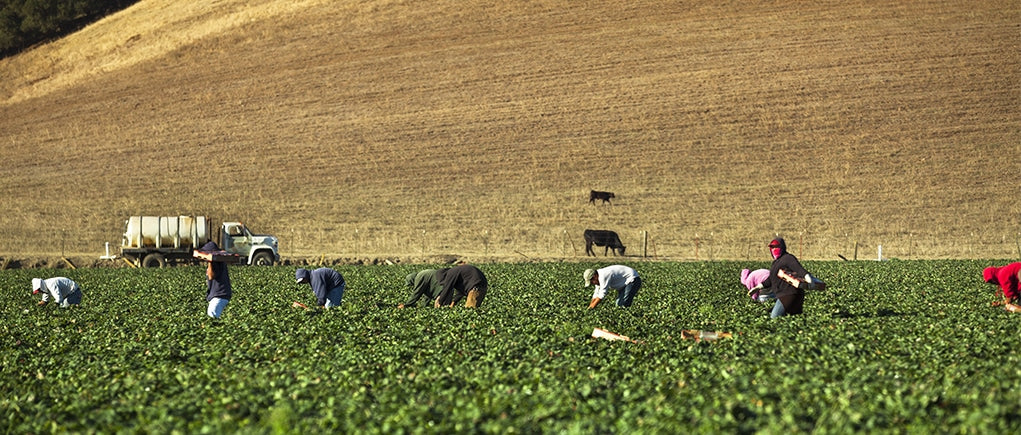 Farm Health is Human Health